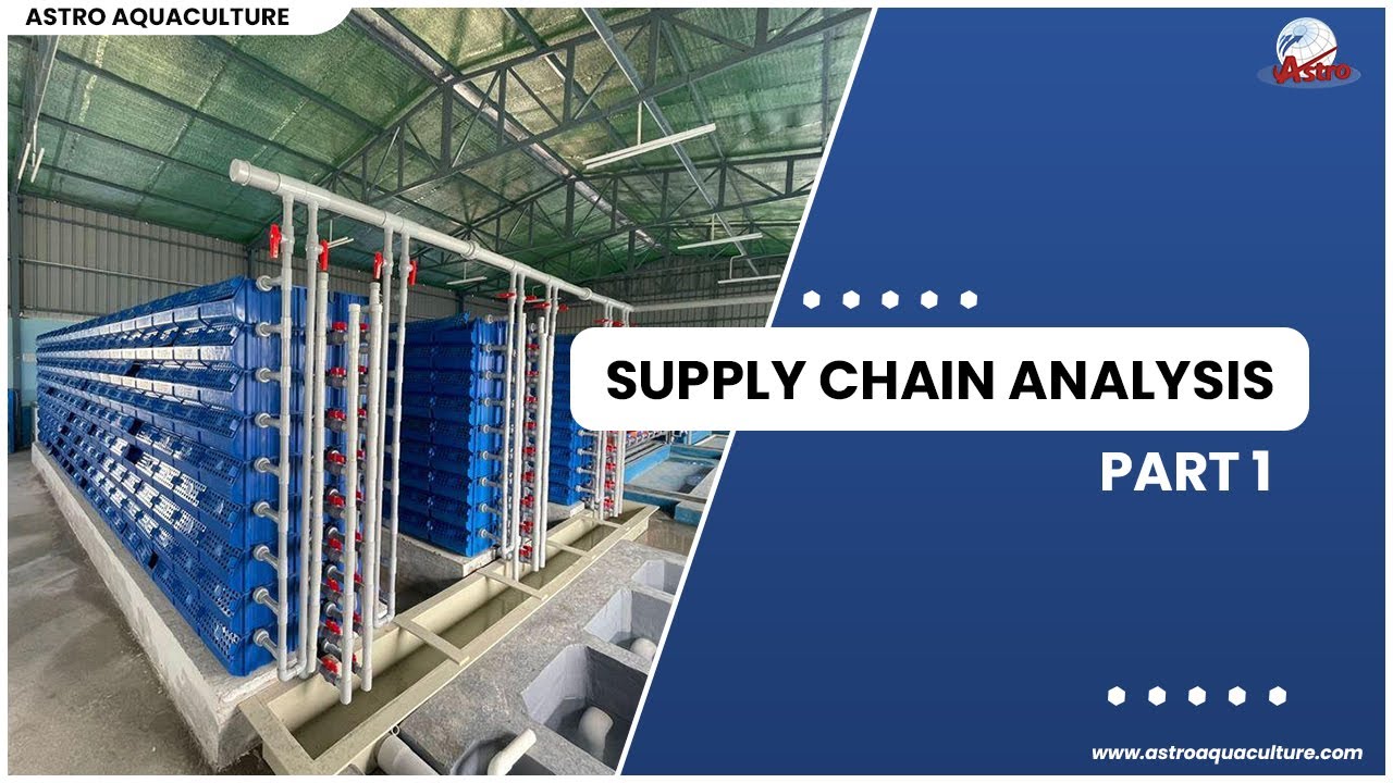 Supply Chain Analysis- Part 2 - YouTube