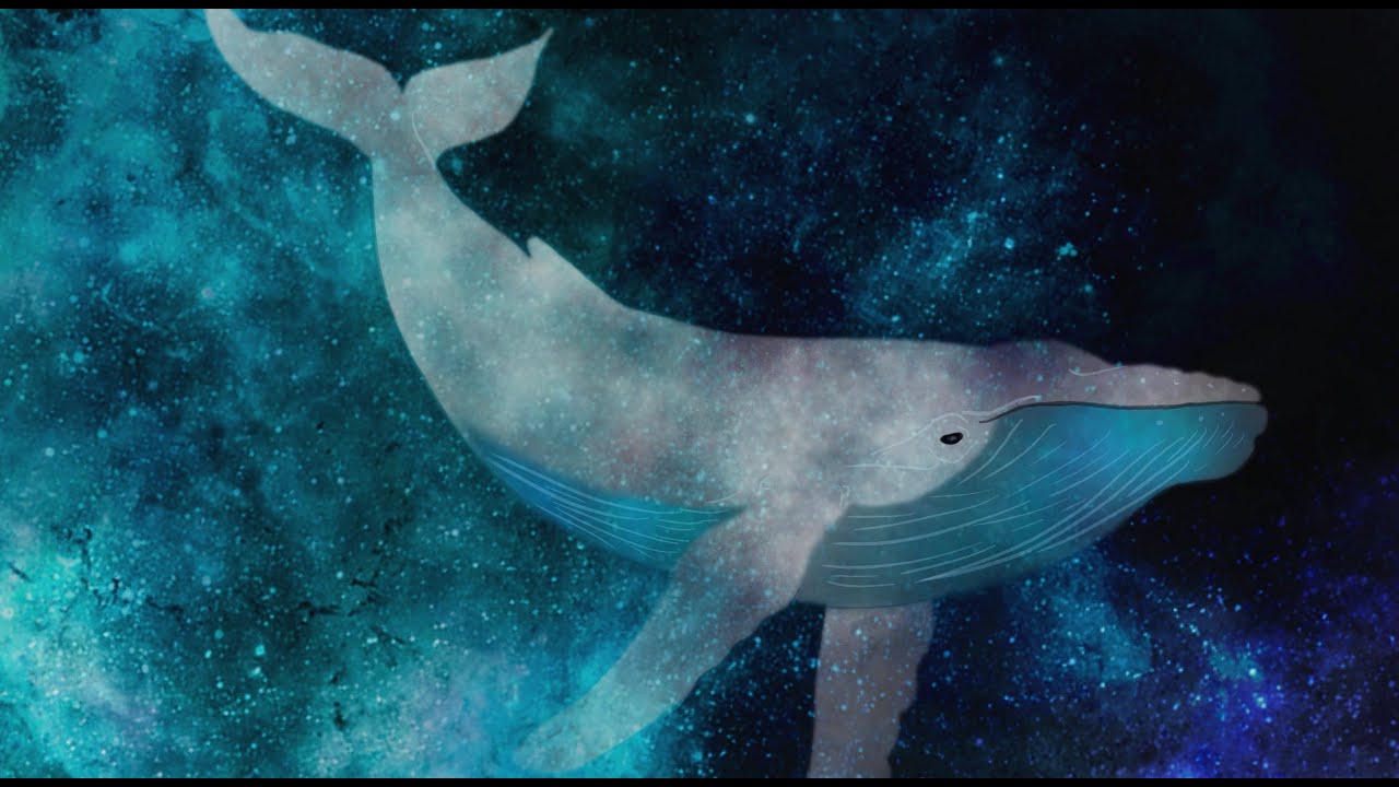 Space whales (Experimental Electronic music Ambient Soundscape) Neutron, Korg sq64, ipad pro ...