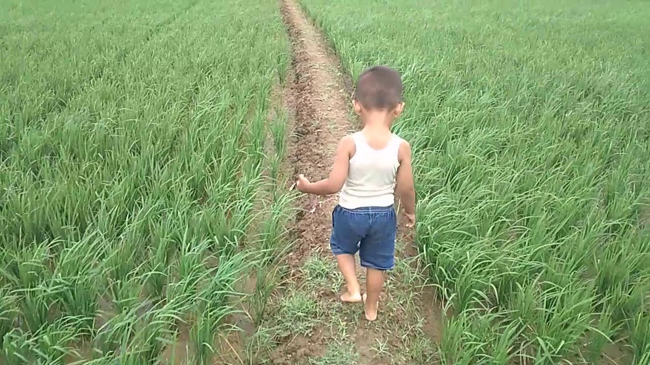 Ahza Berburu Binatang Sawah | Dapat Telur Dan Keong Raksasa Super Besar ...