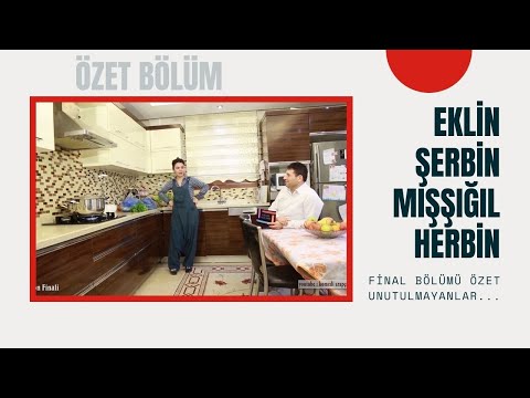 EKLİN ŞERBİN MIŞŞIĞIL HERBİN FİNAL ÖZET BÖLÜMÜ