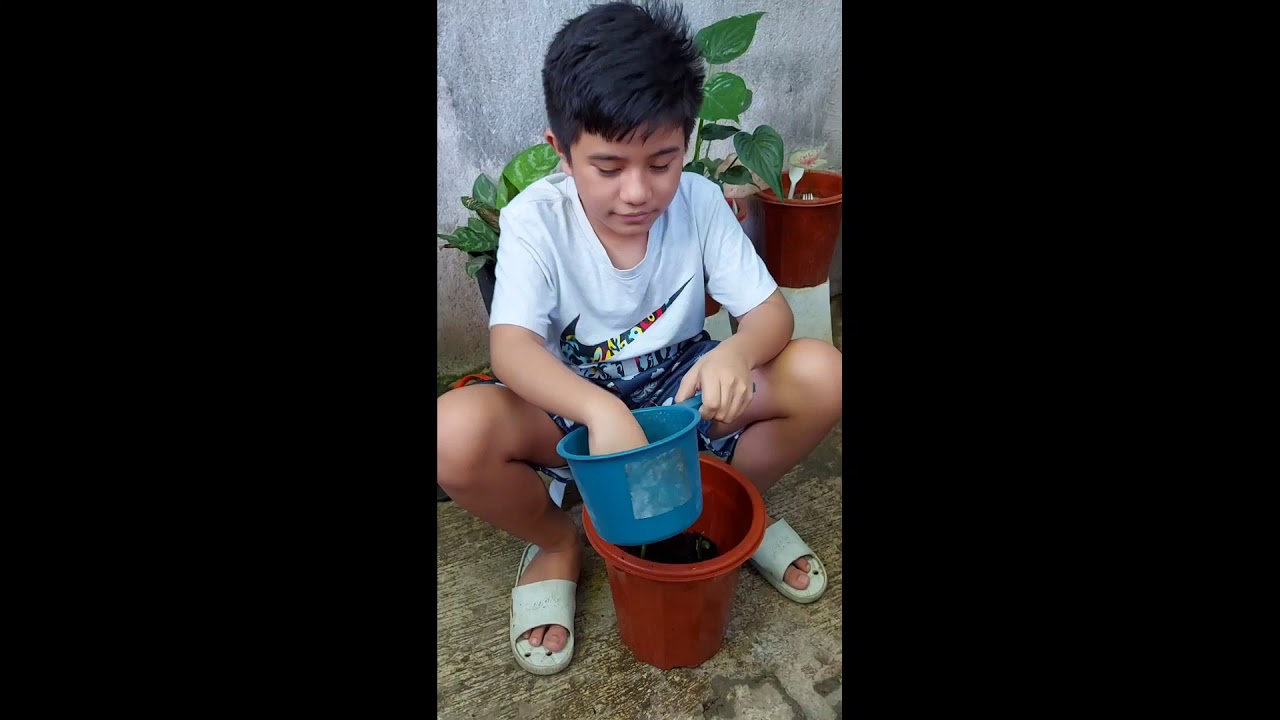 PLANTING ALUGBATI - YouTube