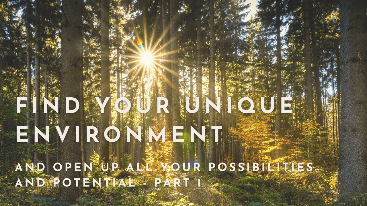 Find your unique environment and open up all your possibilities and ...