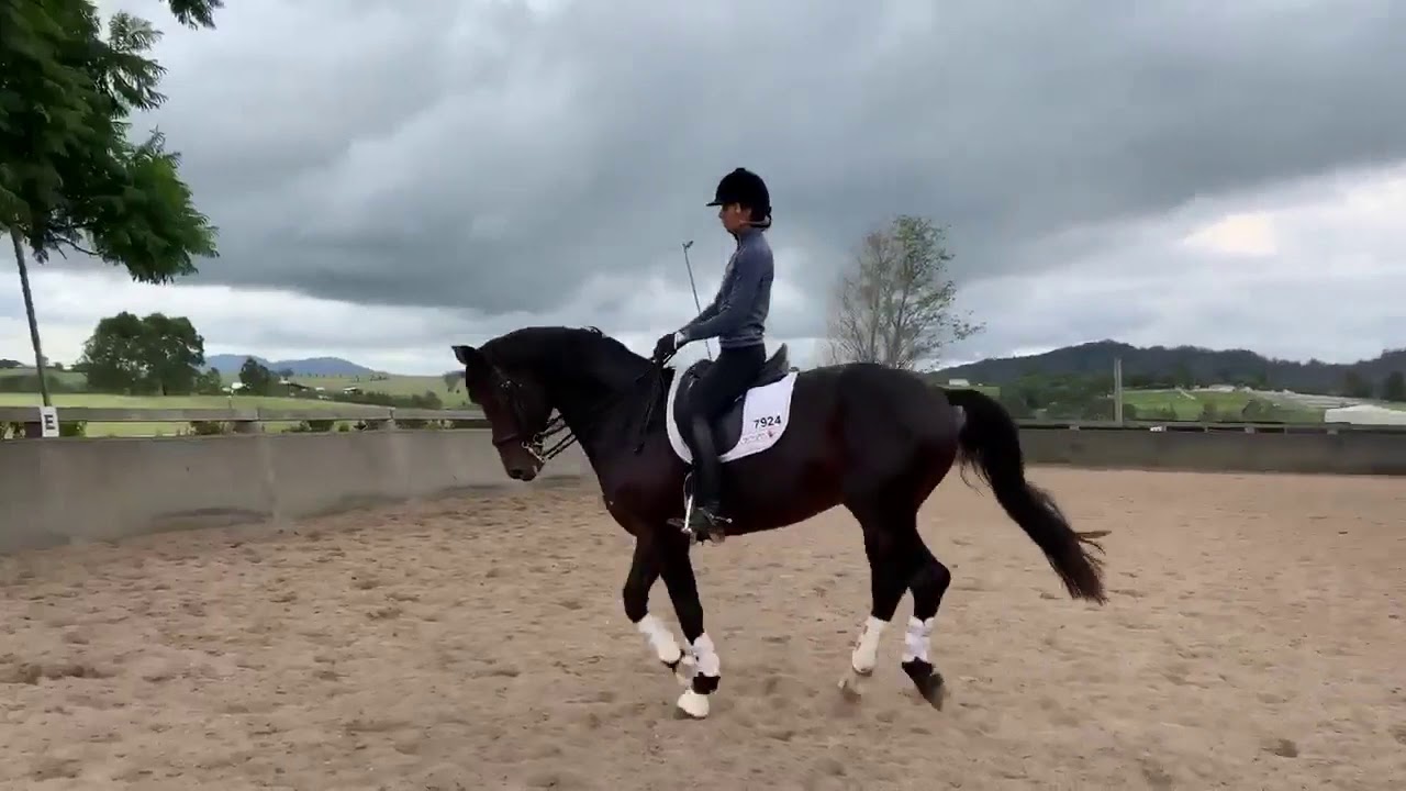 Canter exercise for simple changes - YouTube