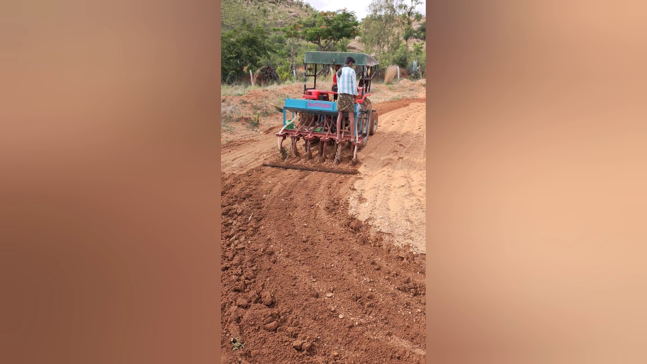 Peanut groundnut sowing agriculture land - YouTube