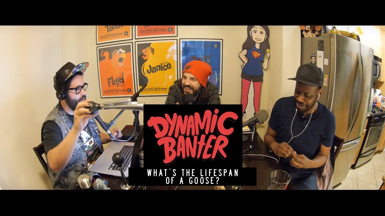 What's the Lifespan of a Goose? - Dynamic Banter Podcast w/ Malcolm ...
