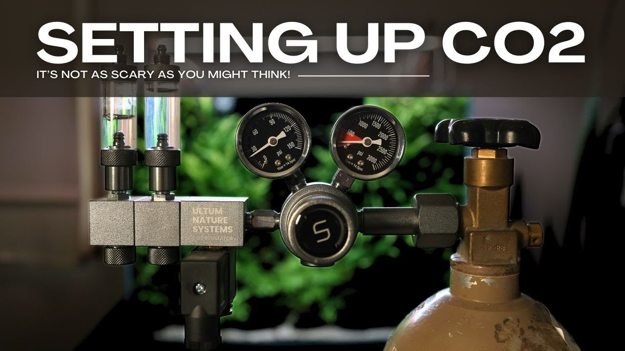 EASY CO2 SYSTEM - A STEP BY STEP TUTORIAL! - YouTube