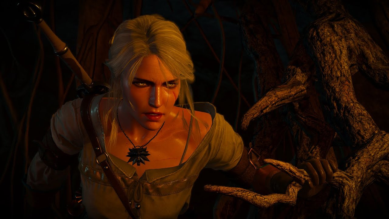 Do Not Go To The Brothel With Ciri [the Witcher 3] Youtube