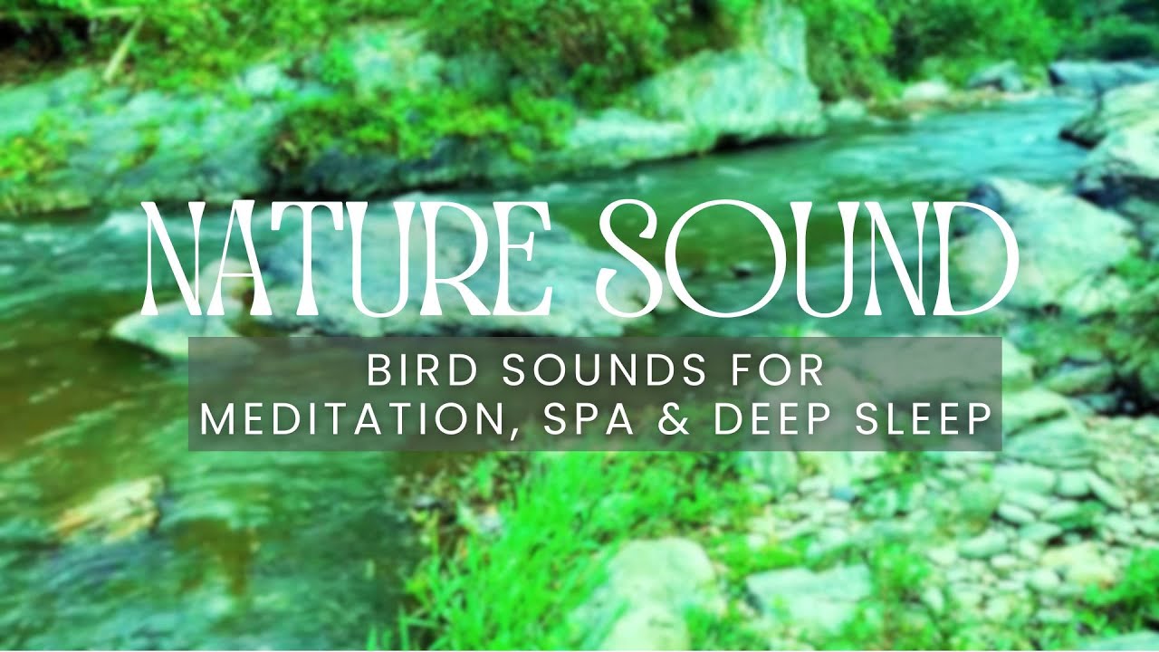 Relaxing Music with Beautiful Nature - Peaceful Guitar Music Soothing ...