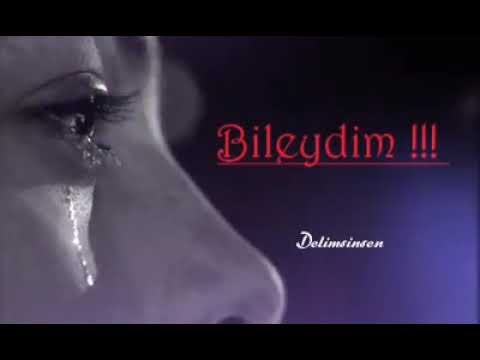 Delimsinsen - Bileydim ! (Şiir)
