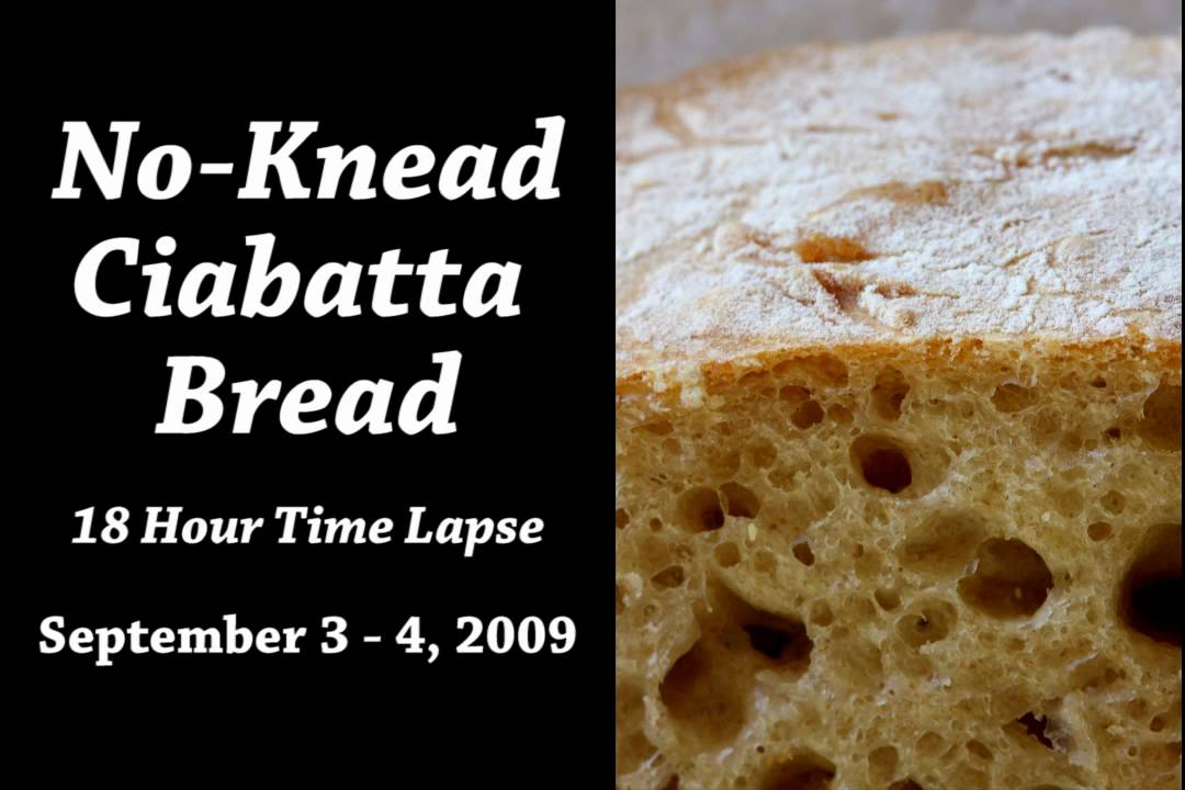 18 Hour Time Lapse of Ciabatta Bread Dough Rise with Recipe - YouTube