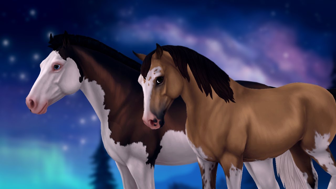 Buying the NEW Morgan Horse! Generation 3 Morgan Horse & Review! ~ [SSO ...