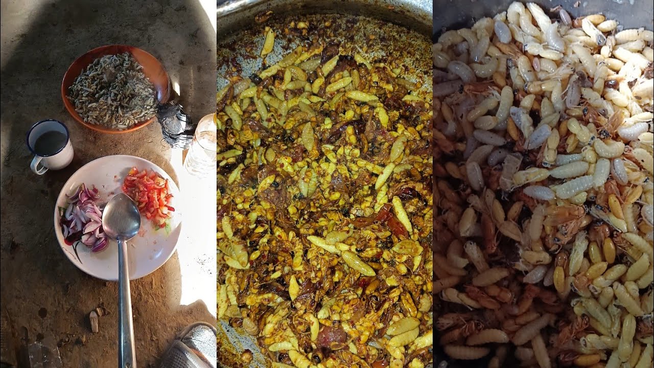 Cooking Bee in simple style. - YouTube