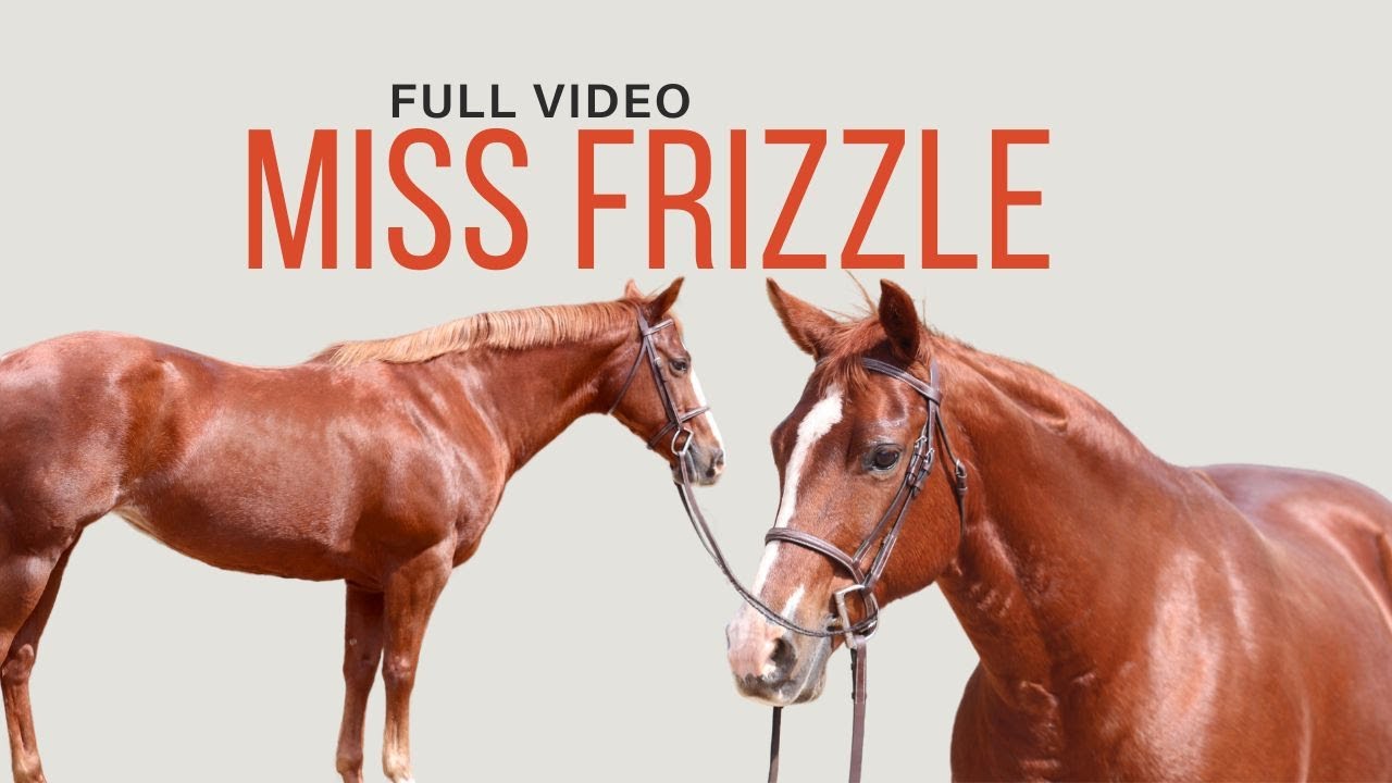 Miss Frizzle - FULL VIDEO || Lesson Horse || Schoolmaster - YouTube