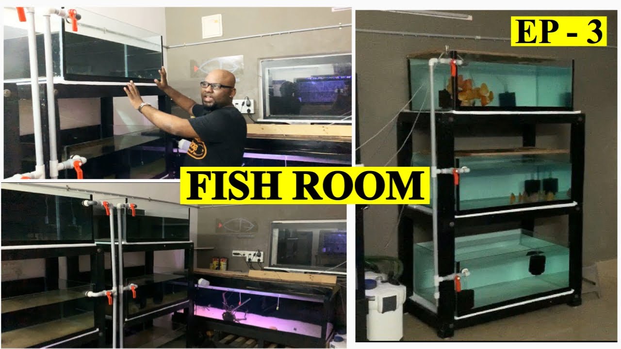 FISH TANK SETUP | FISH ROOM BUILD | EP -3 | TAMIL - YouTube