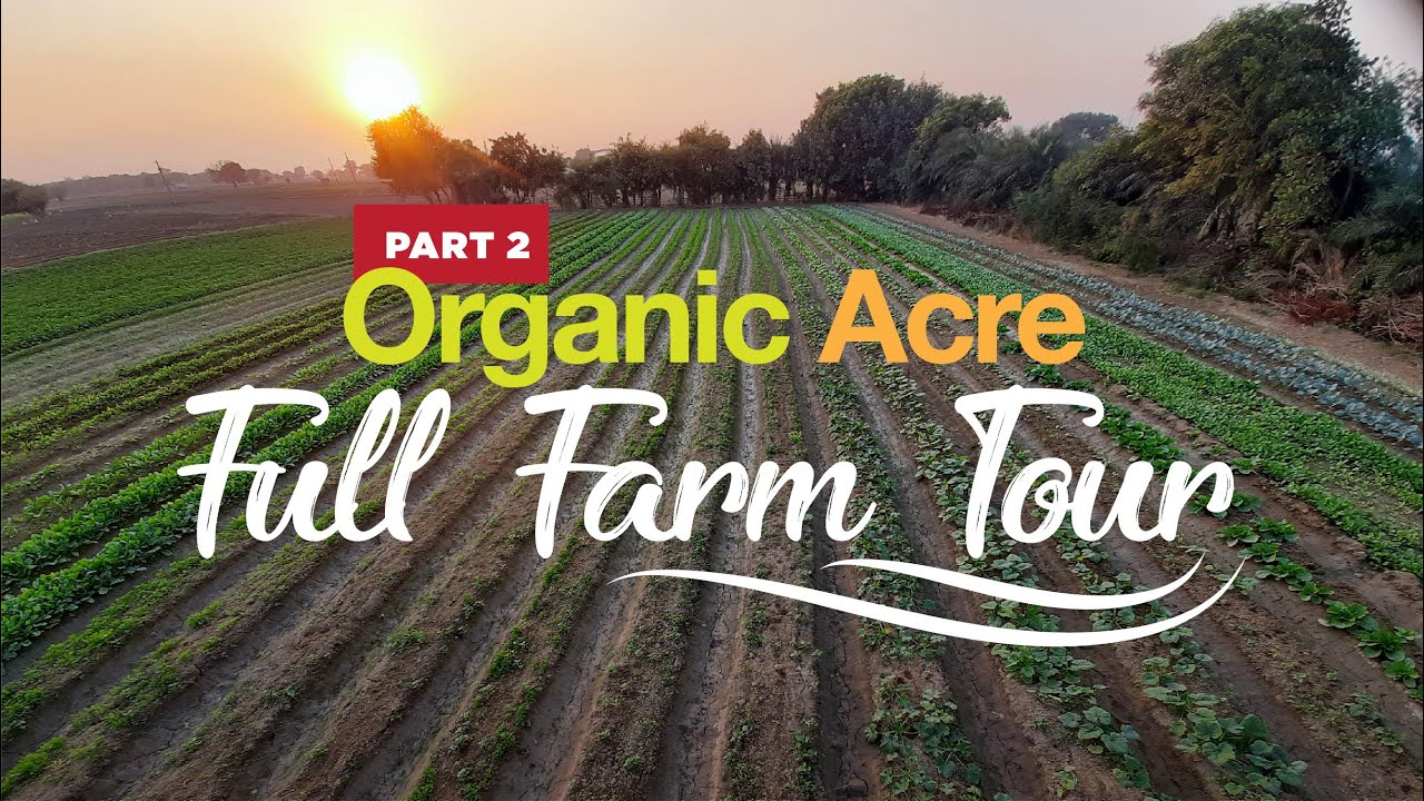 Farm Tour - ORGANIC ACRE | Part-2 @OrganicAcre - YouTube