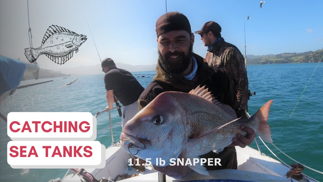 Targeting Big Snapper at the Mussel Farm - YouTube