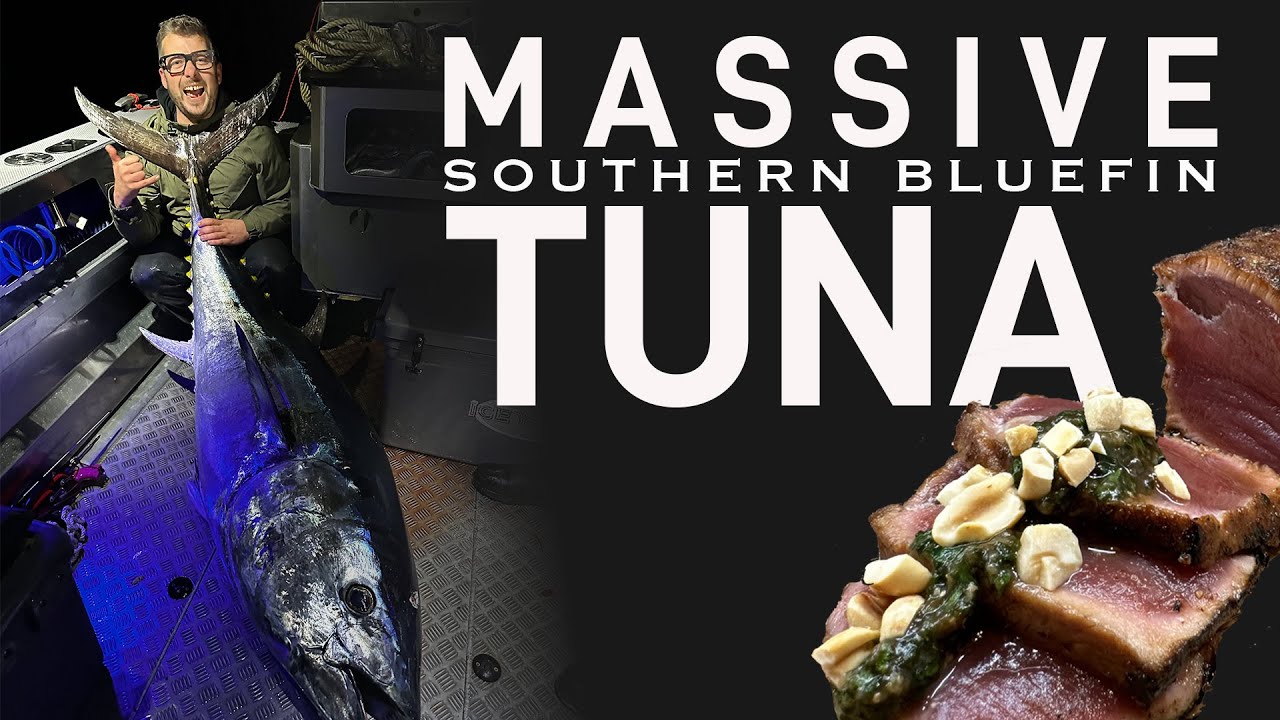 Massive Southern Bluefin Tuna, Greymouth, New Zealand - YouTube