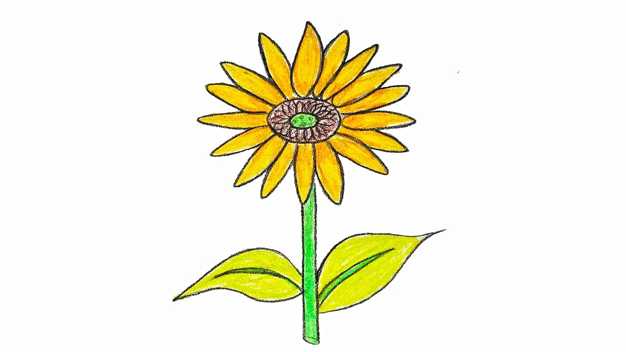 🌻 Easy Sunflower Drawing Tutorial | Quick & Fun Step-by-Step Guide ...