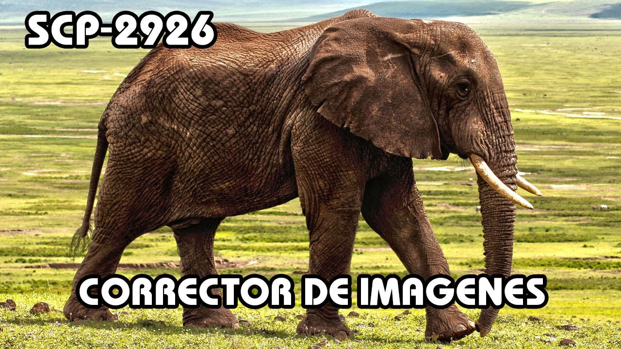 SCP-2926: Corrector de Imágenes (Español Latino) - YouTube