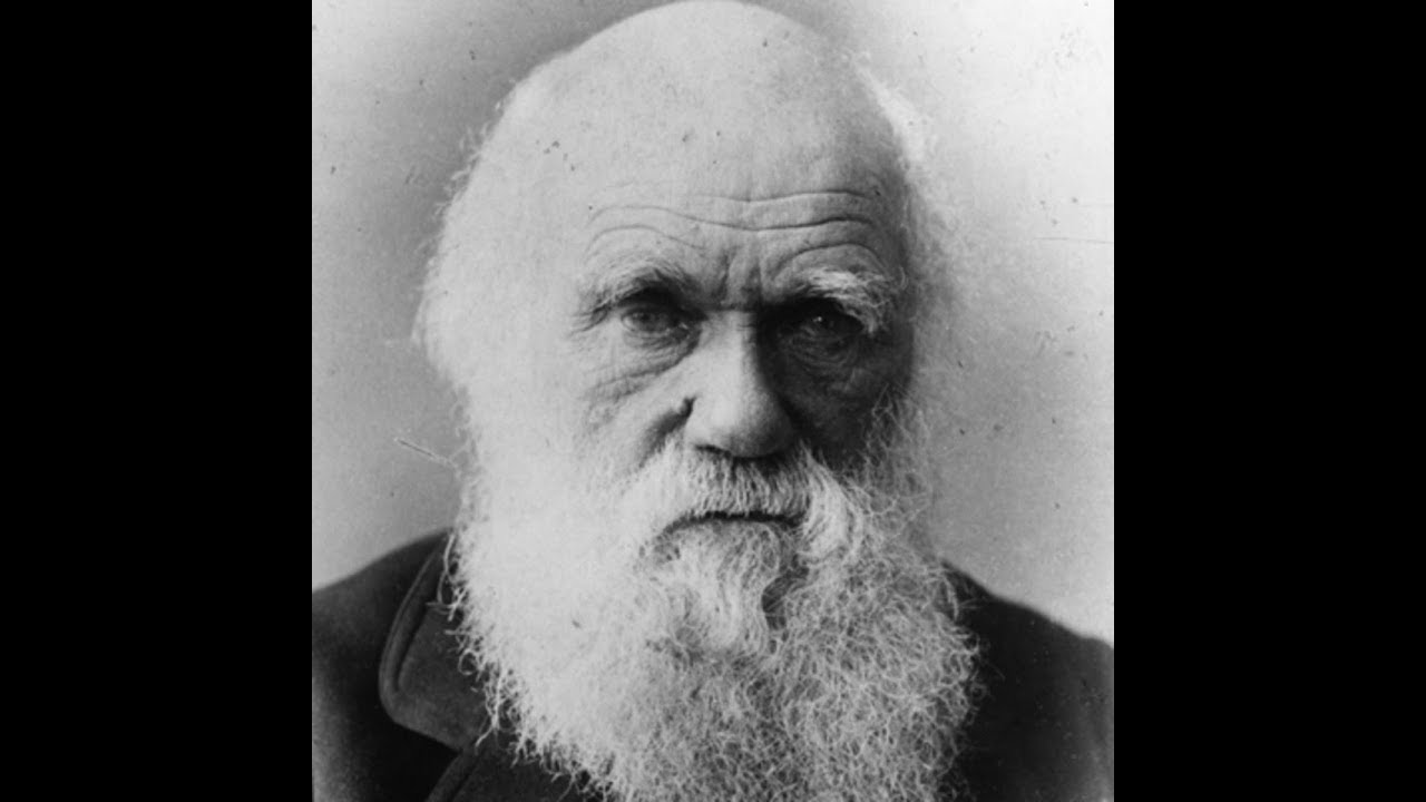 Darwin Day and 15 Questions for Evolutionists - YouTube