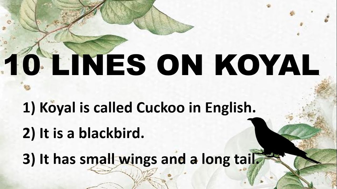 10 Lines On Koyal In English Few Lines On Koyal Cuckoo YouTube 10-lines-on-koyal-in-english-few-lines-on-koyal-cuckoo-youtube