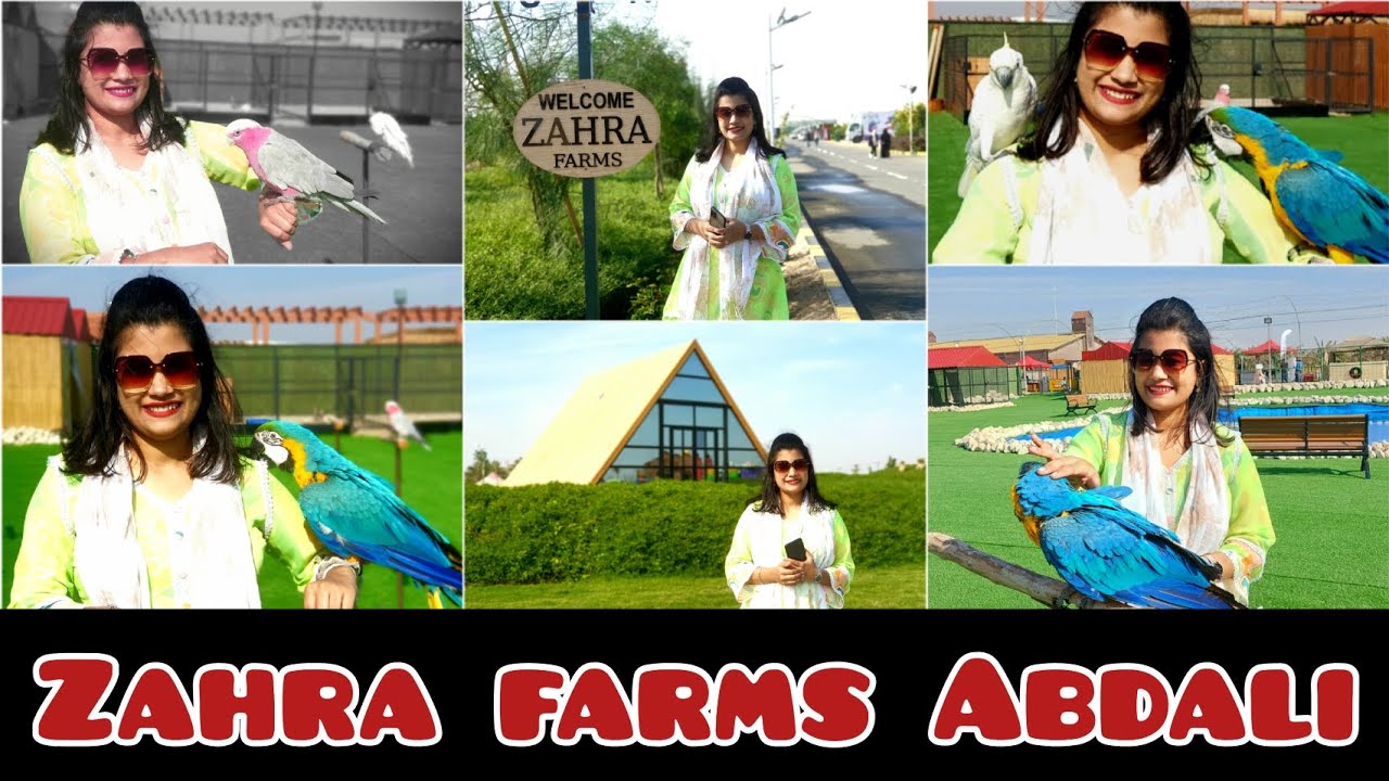 Zahra Farms Abdali / Kuwait / Abdali Farm / Kuwait Travel Vlog - YouTube
