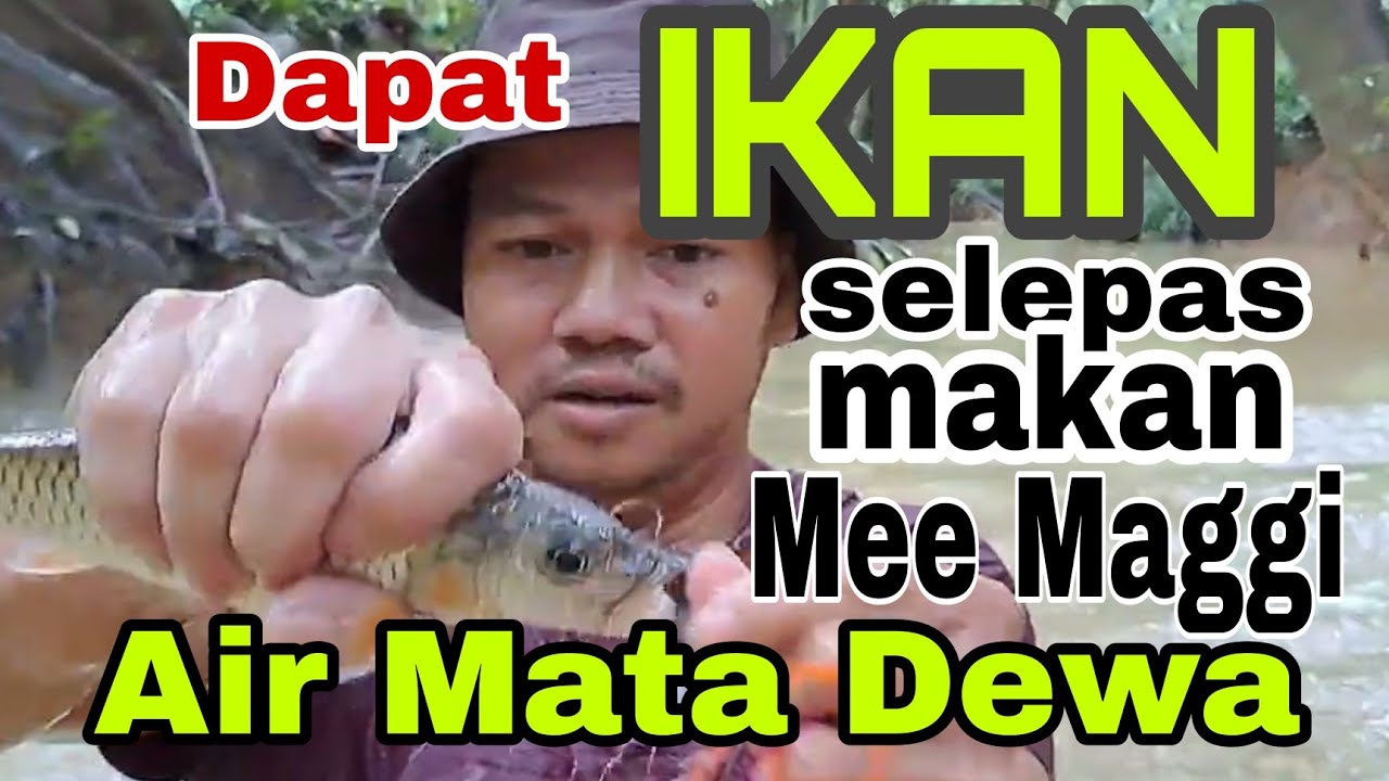 Mengambil ikan di Pukat Selepas Makan Mee Maggie Bersama Air Mata Dewa ...