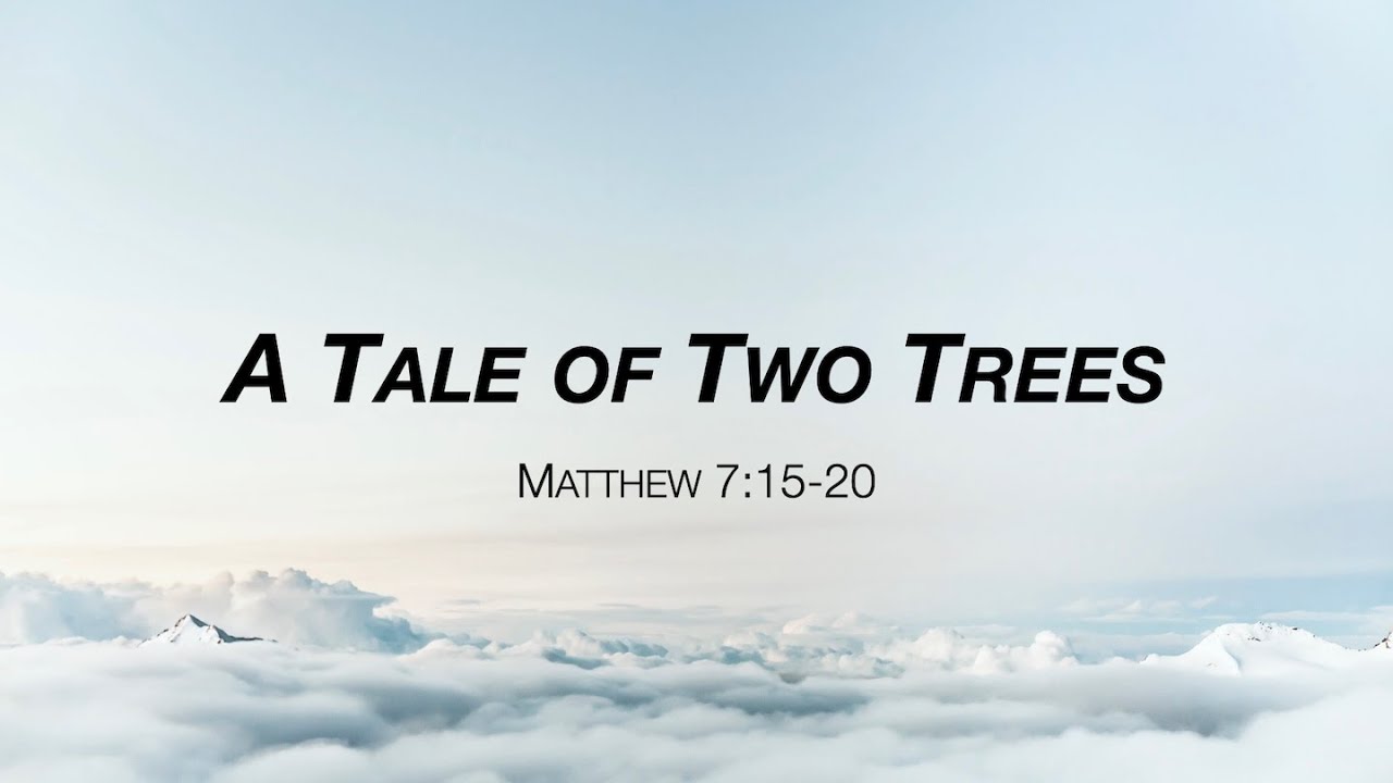2-2-25 Sunday Service | A Tale of Two Trees - YouTube