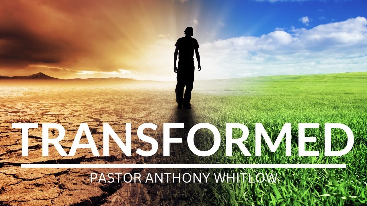 Transformed - YouTube