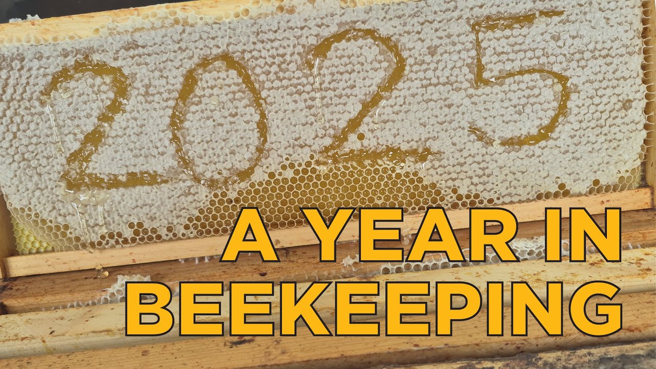 A Year of Beekeeping with Beekeepers Around the Globe! - YouTube