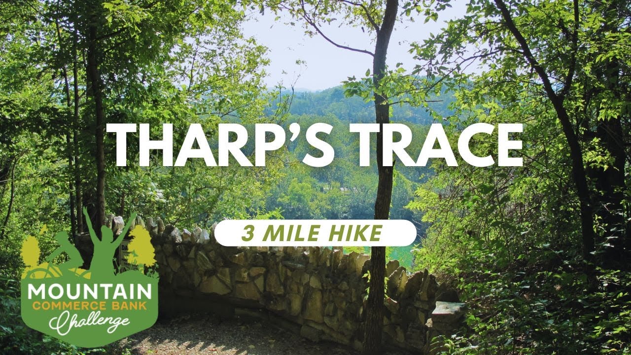 Tharp's Trace Hike - Mountain Commerce Bank Challenge - YouTube