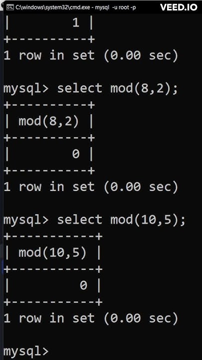 Class 12 Ip Informatics Practices Mysql Function Chapter 6