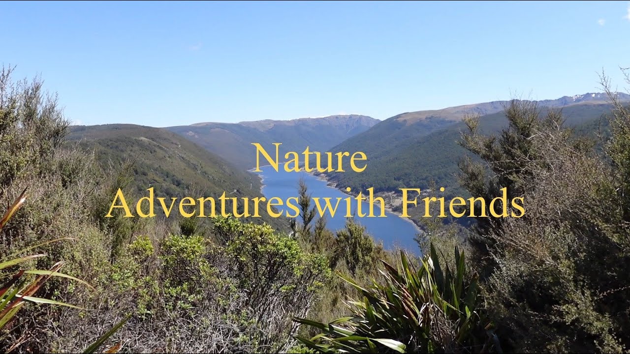 Nature Adventures | Trilobite Hut with Friends | Golden Bay | New ...