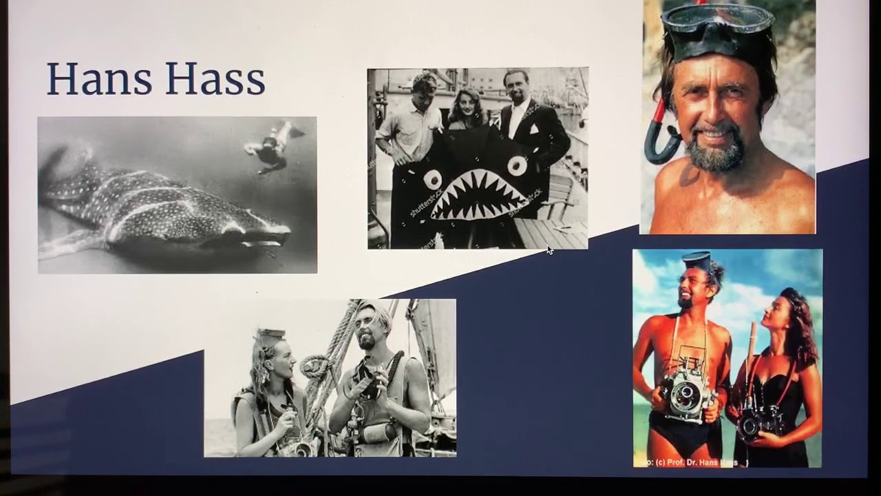Hans Hass Marine Biology - YouTube