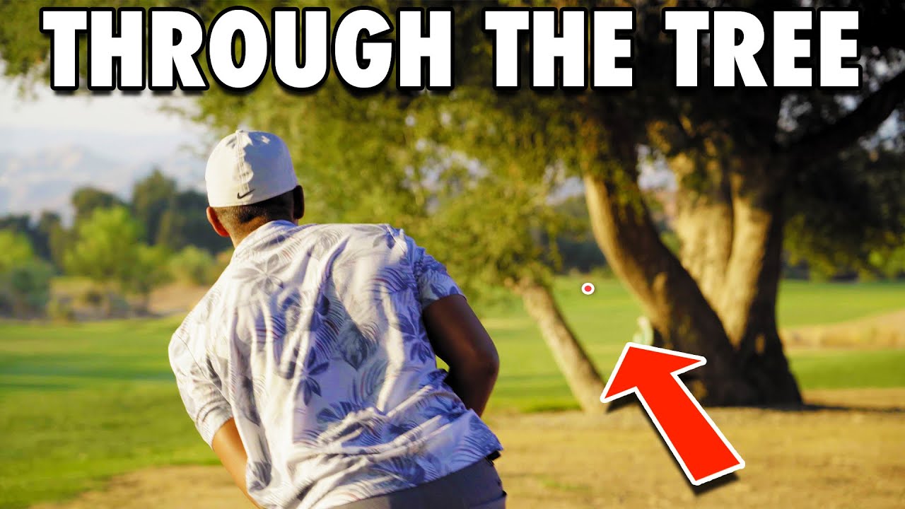Insanely Lucky Shot Through A Tree To Save Par! | Attempt To Break 90 ...