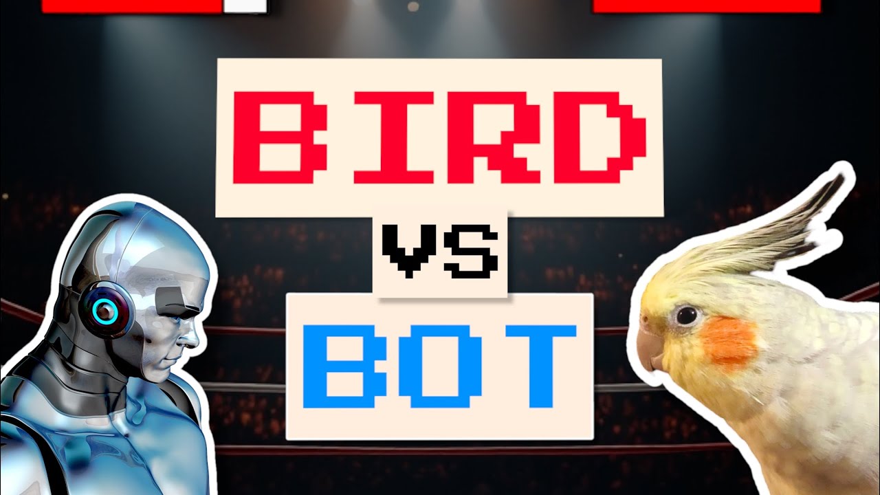 Can a Cockatiel Beat ChatGPT at Trivia? | Smart Pet vs AI - YouTube