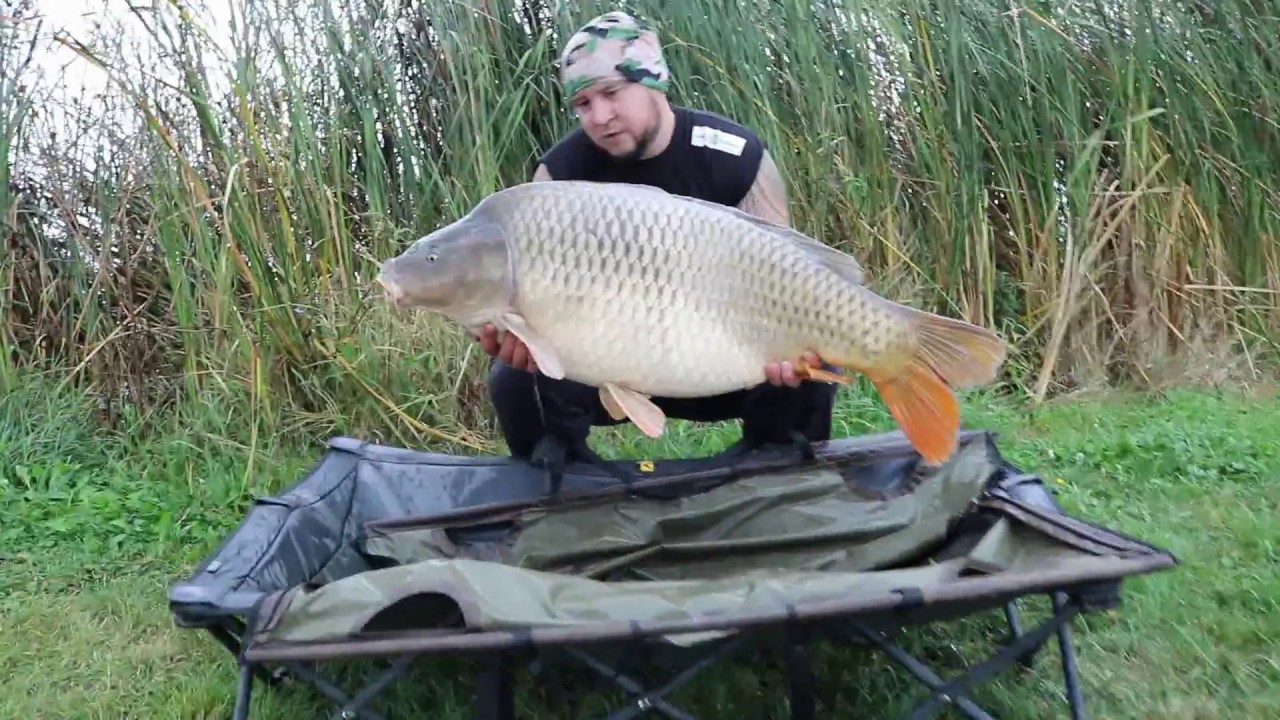 Monster Carp Lake 2016, by Rappa - YouTube