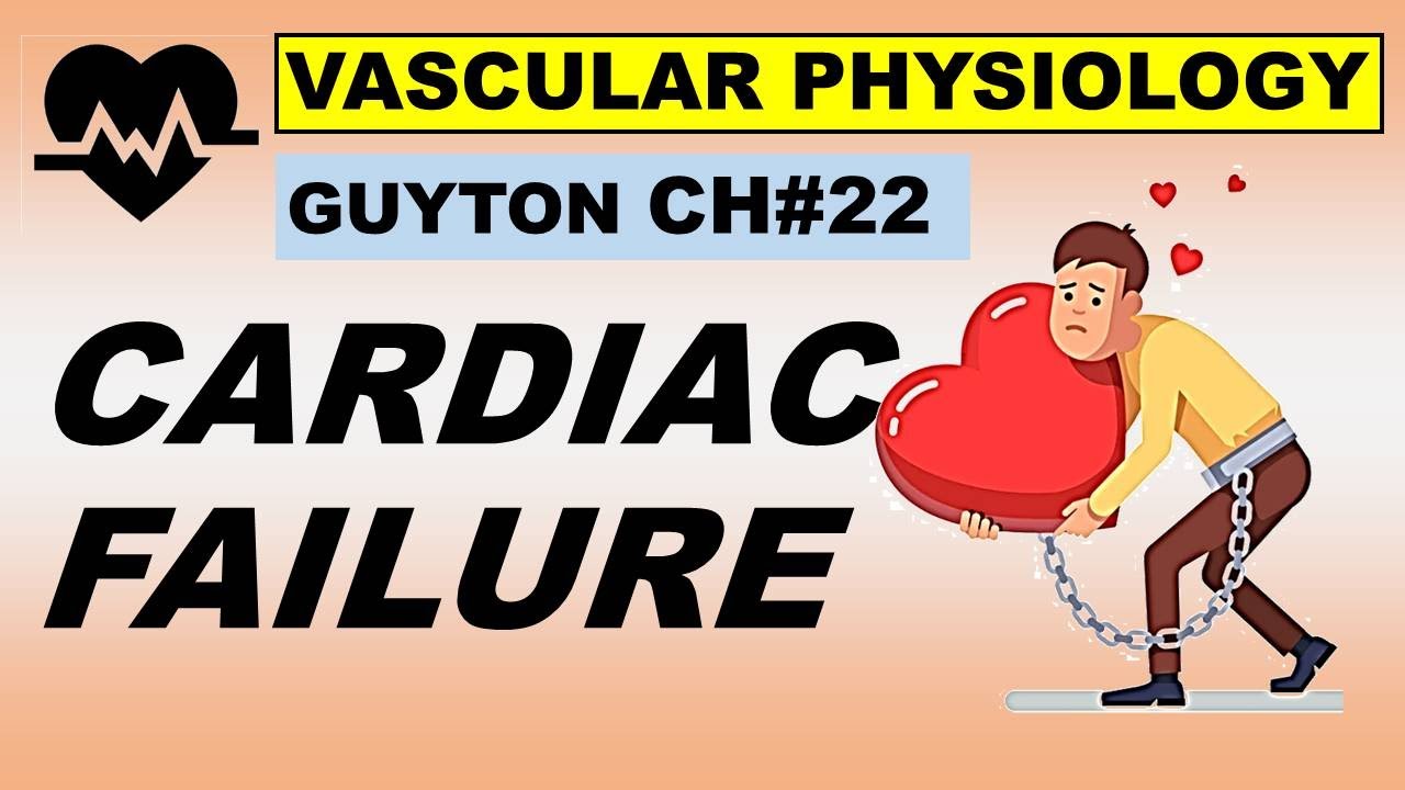 Ch#22 Physiology Guyton | Cardiac Failure | Dr Asif Lectures - YouTube
