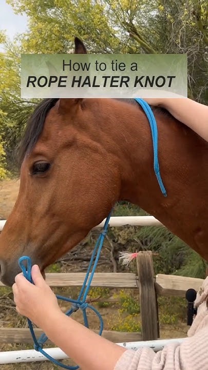 How-To Tie a Rope Halter - YouTube