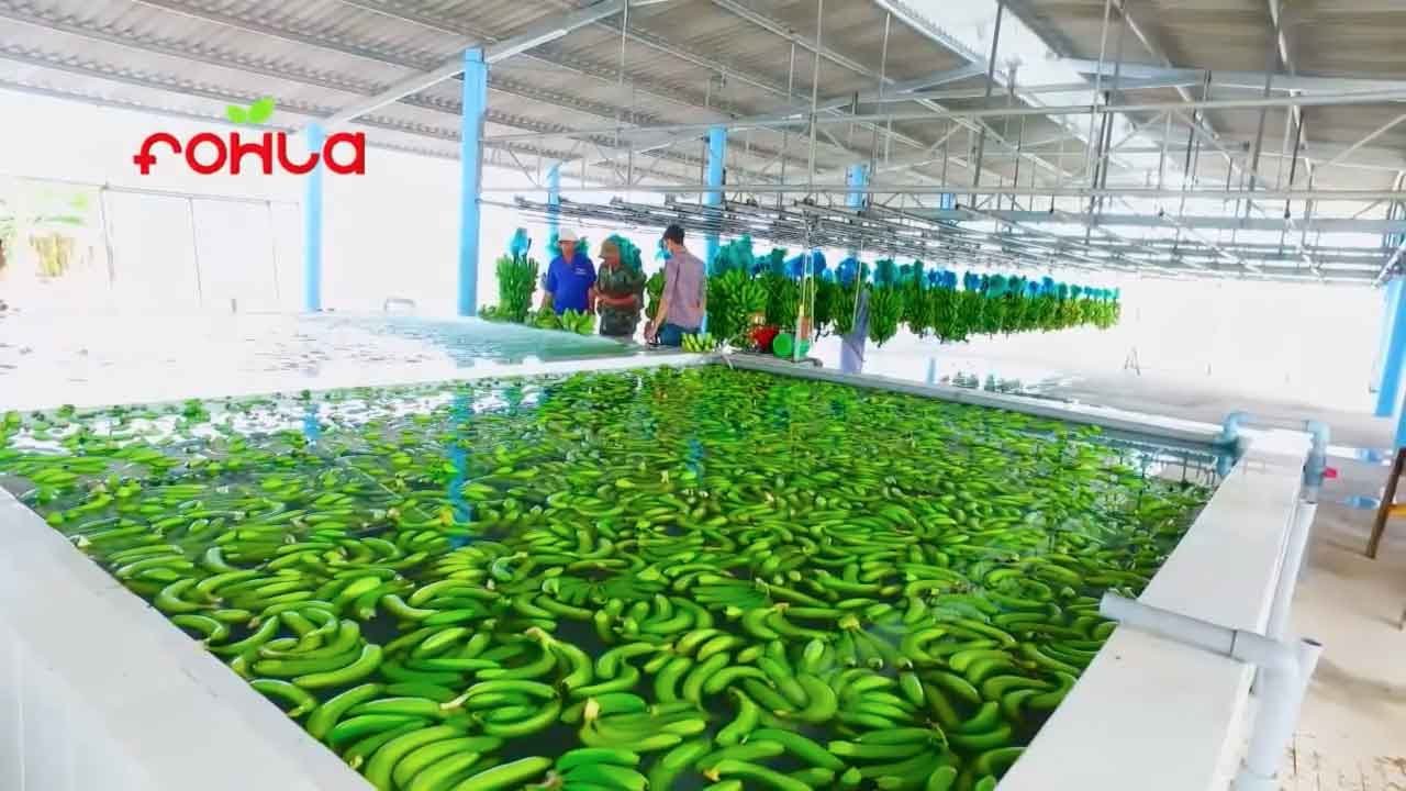 Fohla | Chuẩn Chuối Fohla - YouTube
