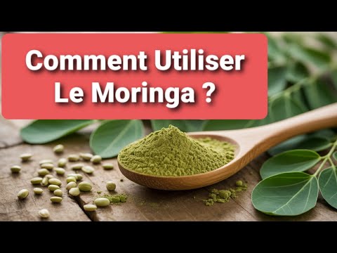 8 Recettes de Moringa: Comment Utiliser les Feuilles Poudre Graines préparer consommer pour la Santé