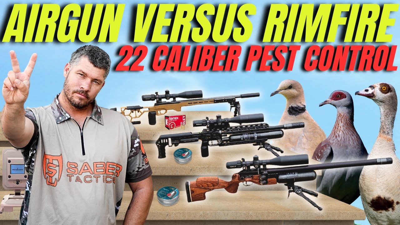 AIRGUN HUNTING VERSUS RIMFIRE HUNTING I 22 CALIBER PEST CONTROL WITH ...