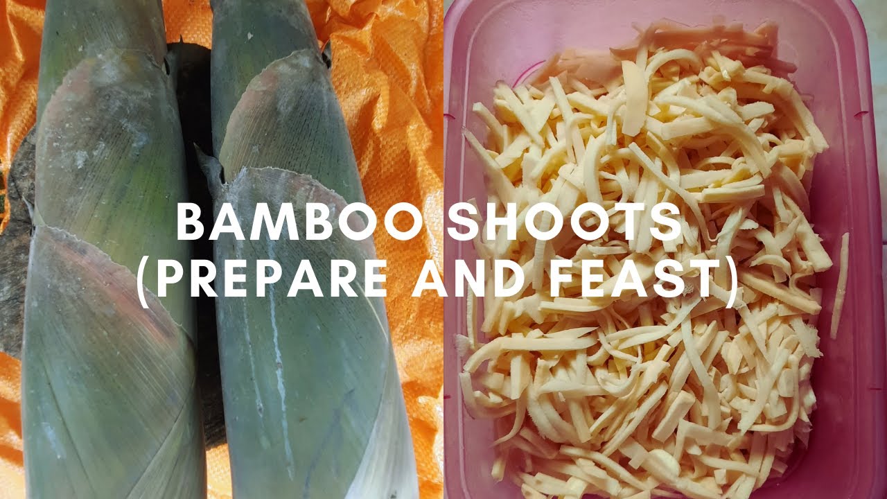 Bamboo Shoot | How To Prepare Before Cooking | Pagkaing Probinsyano ...