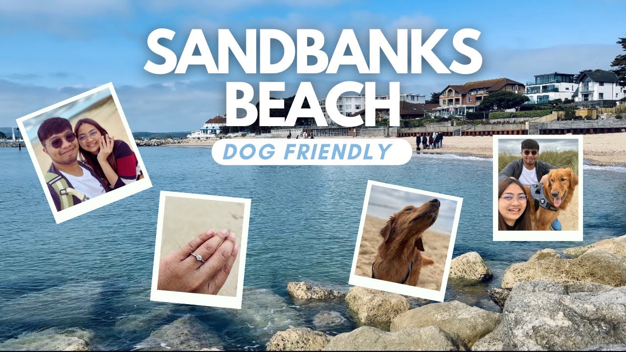 Sandbanks Beach to Shell Bay by Ferry! Dog friendly beach - YouTube
