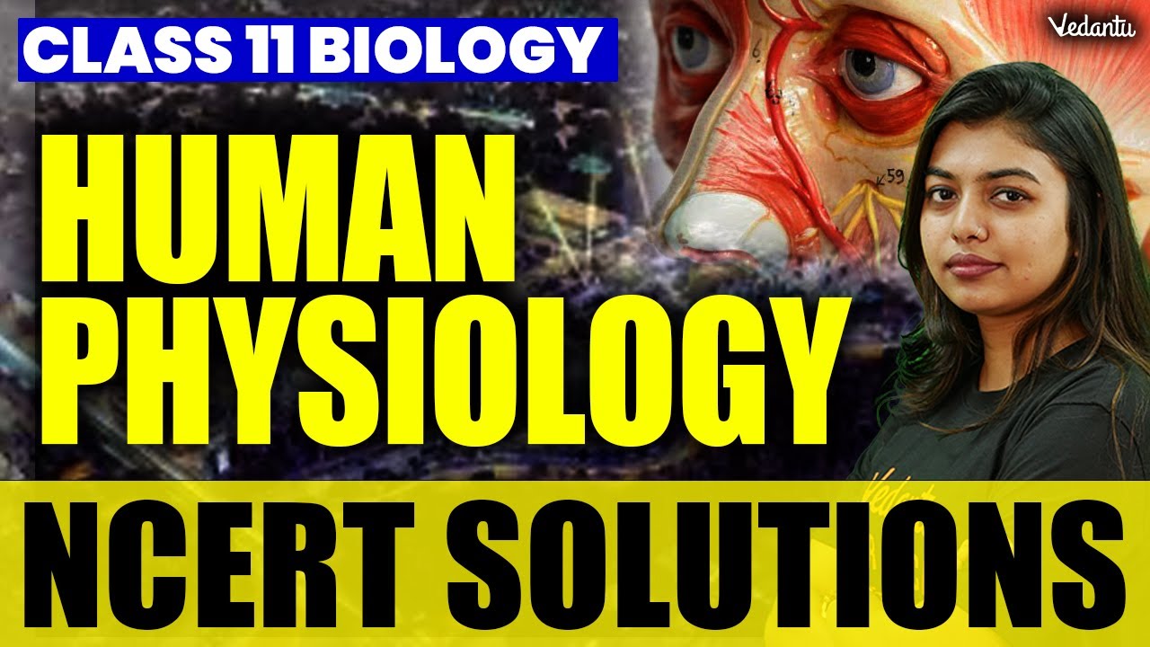 Human Physiology | Class 11 Biology | NCERT Solutions - YouTube