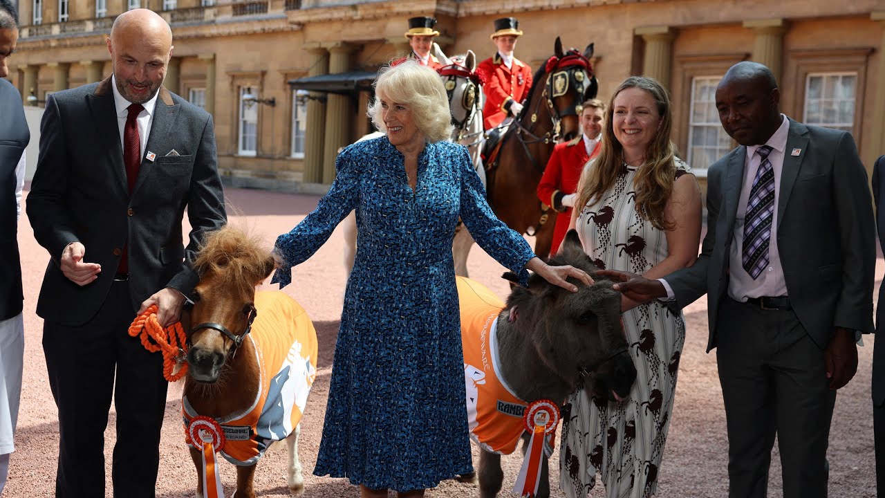 Queen Camilla meets and feeds ponies, donkeys on 90th anniversary of ...