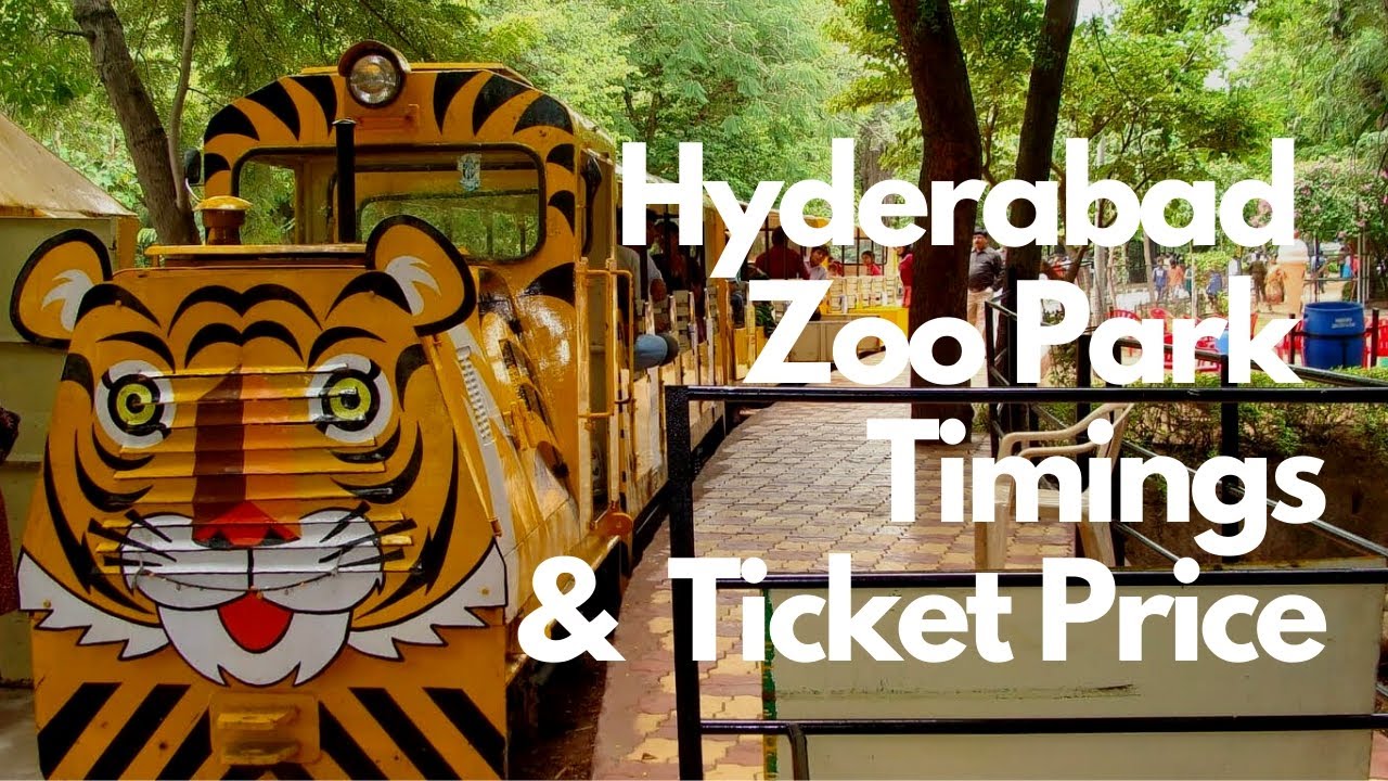 Nehru Zoological Park Hyderabad | Zoo Park Safari #nehruzoologicalpark ...