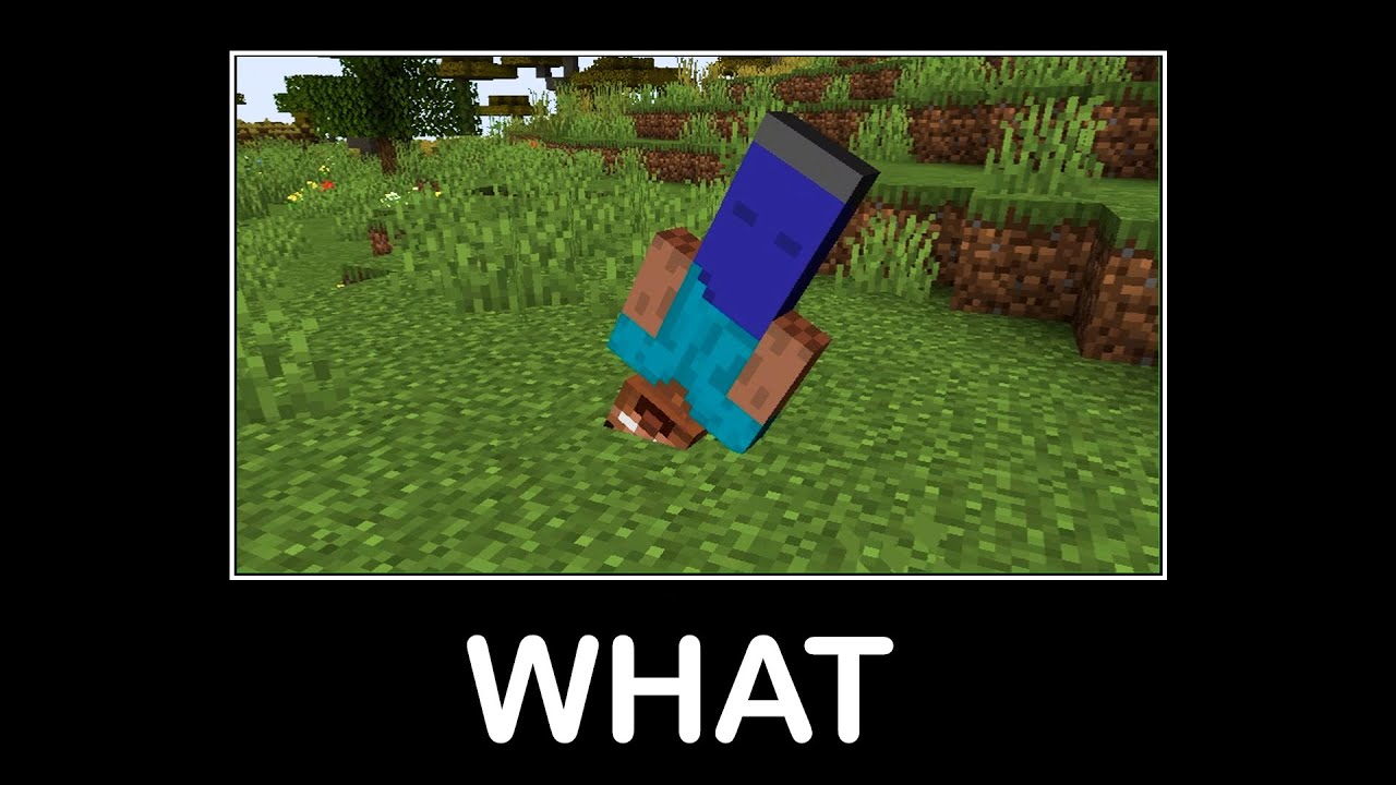 Wait What Minecraft Memes #21 - YouTube