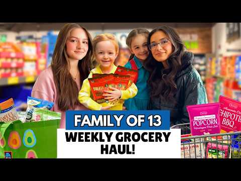 HUGE $417 Grocery Haul | Aldi + Discount Store | Family of 13