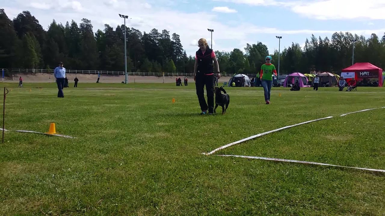 Toko SM ruutu&luoksari - YouTube